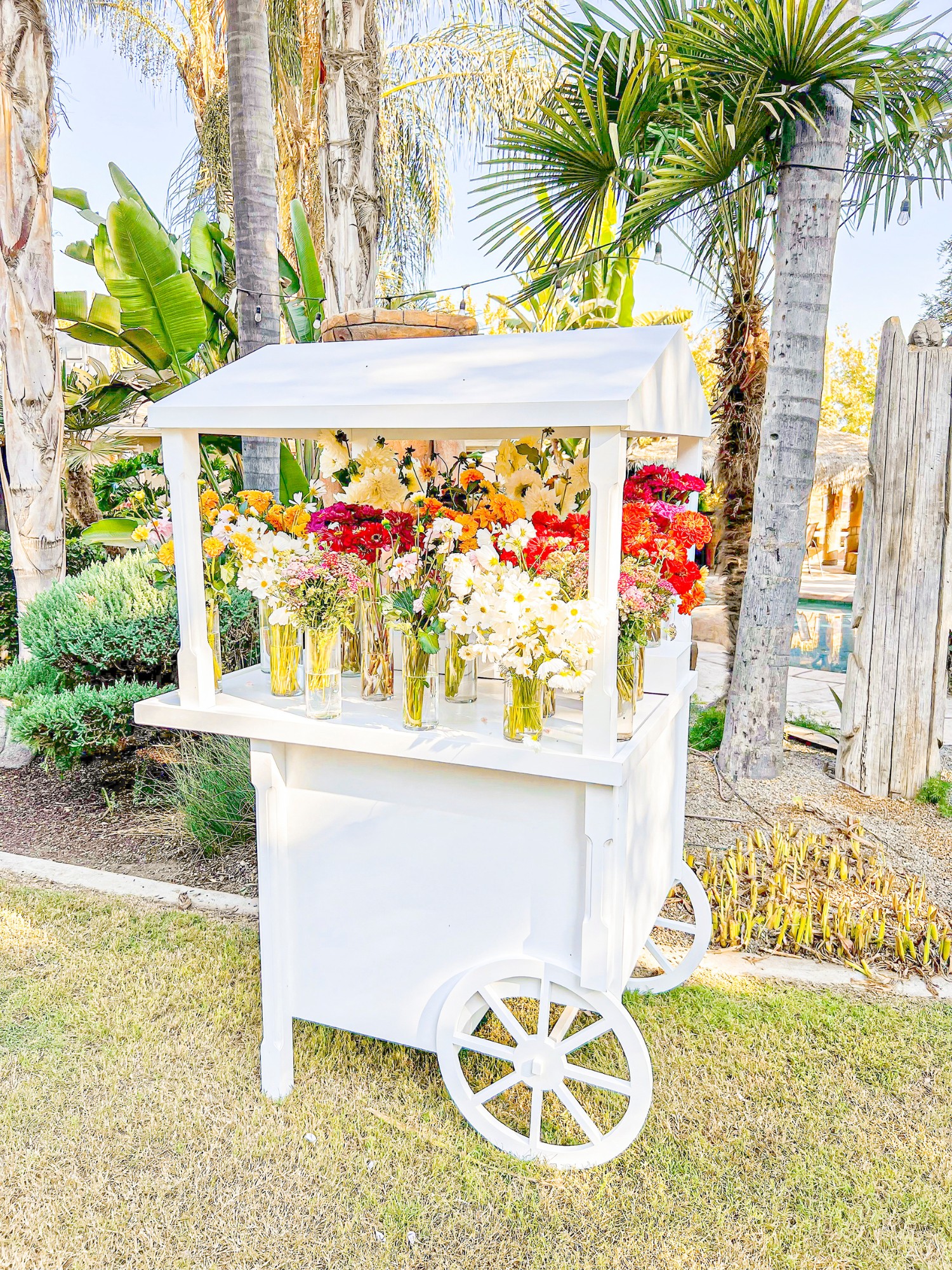 Carreta Blanca | Simple Design